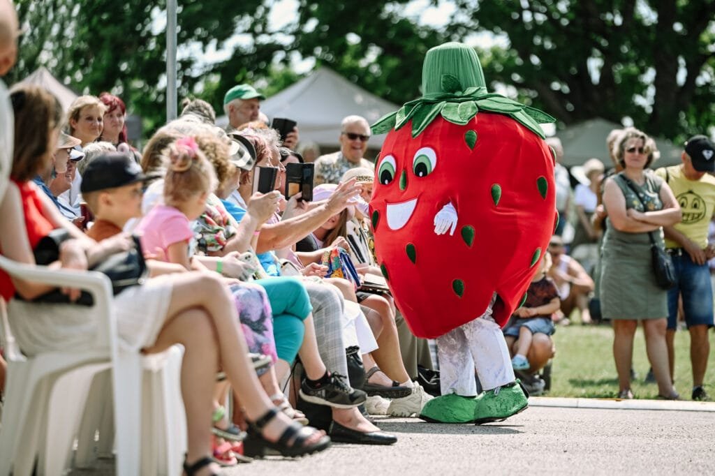 Mālpils Zemeņu svētki svinēs piecu gadu jubileju - 🇱🇻 PILSĒTU Portāls